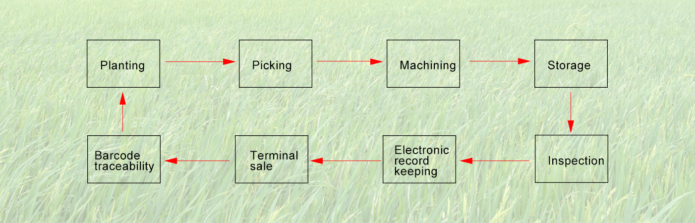 Machine Vision Barcode Detection